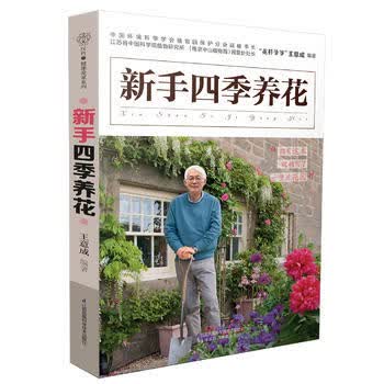 新手四季养花