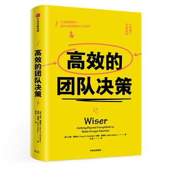 高效的团队决策 中信出版社