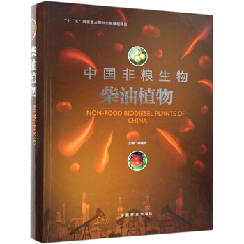 中国非粮生物柴油植物