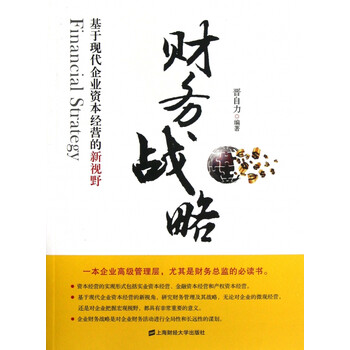 财务战略(基于现代企业资本经营的新视野)