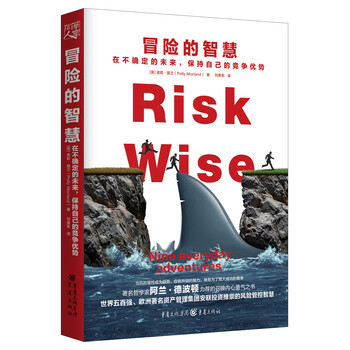 冒险的智慧 在不确定的未来，保持自己的竞争优势