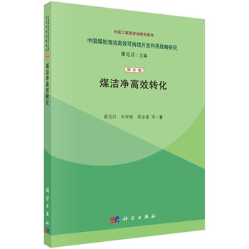 中国煤炭清洁高效可持续开发利用战略研究(第8卷):煤洁净高效转化