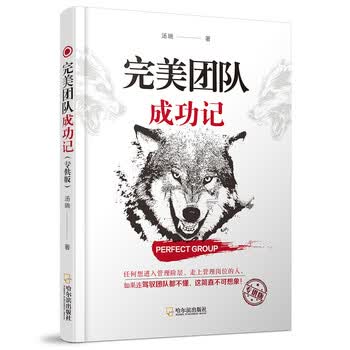 完美团队成功记（专供版）