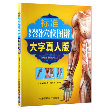 标准经络穴位图谱（大字真人版）