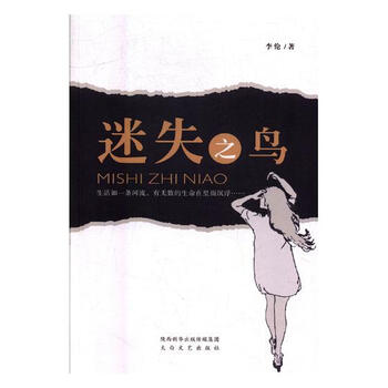 迷失之鸟 小说 书籍