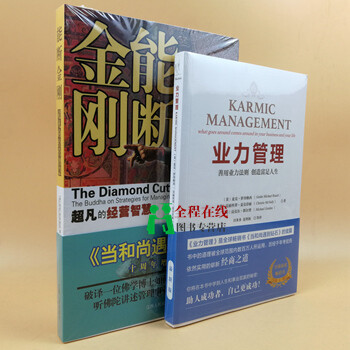 能断金刚-超凡的经营智慧(《当和尚遇到钻石》十周年增订版)+业力管理（新版）【共2册】麦克·罗奇格西 著