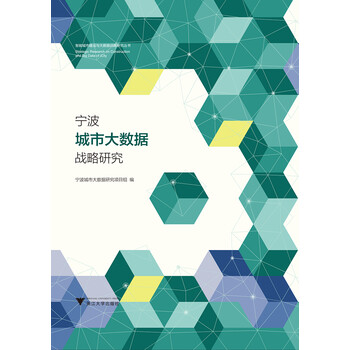宁波城市大数据战略研究