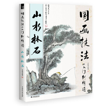 国画技法从入门到精通 山水林石 飞乐鸟 国画水墨画基础入门教学教材书 山水风景技法教程书籍