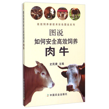 图说如何安全高效饲养肉牛