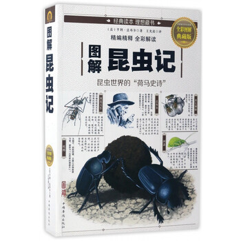 图解昆虫记(全彩图解典藏版)