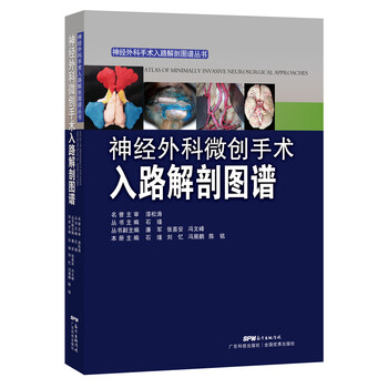 神经外科微创手术入路解剖图谱