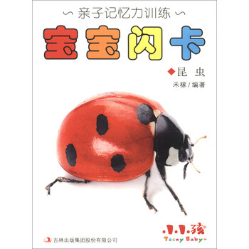 小小孩·亲子记忆力训练：宝宝闪卡（昆虫）
