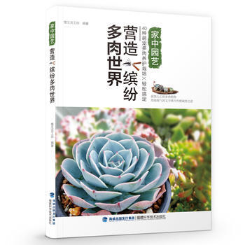 营造缤纷多肉世界