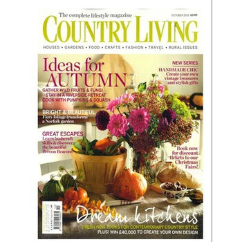 COUNTRY LIVING (UK) 欧美家居设计  杂志订阅 期刊 年订 2022年一年12期