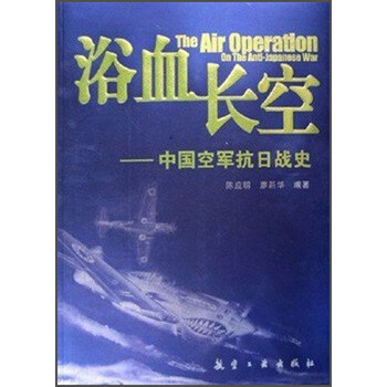 浴血长空-中国空军抗日战史9787801836908