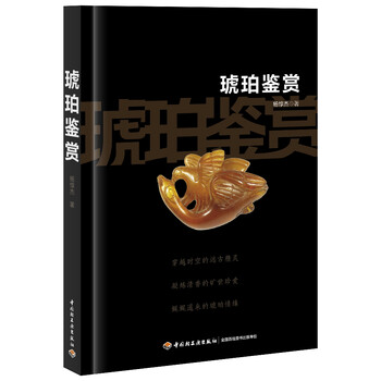【京联正品】琥珀鉴赏杨惇杰9787501997190