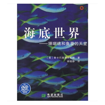 海底世界 珊瑚礁和鱼类的天堂