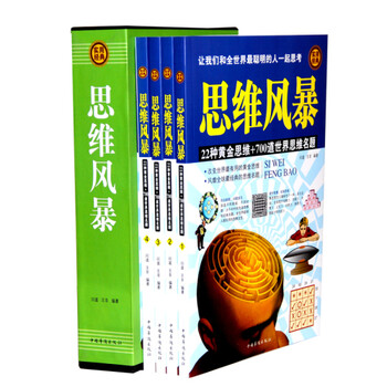思维风暴 励志与成功 书籍