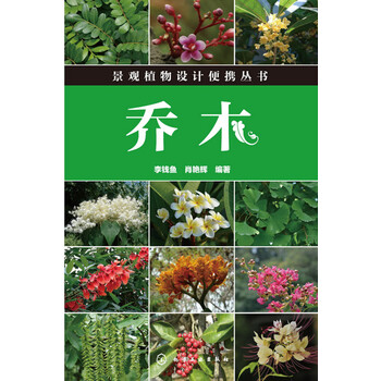 乔木