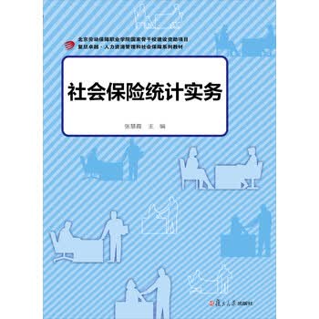 社会保险统计实务