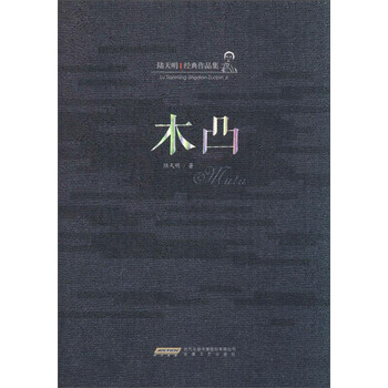 陆天明经典作品集：木凸