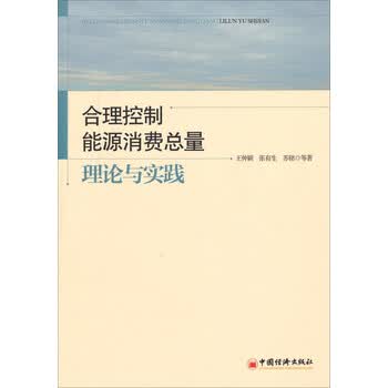 合理控制能源消费总量：理论与实践
