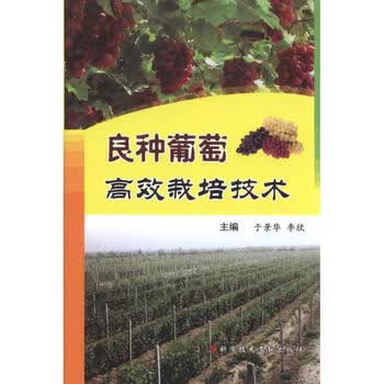 良种葡萄高效栽培技术