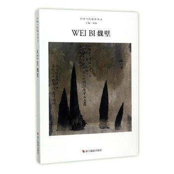 中国当代摄影图录：魏壁 摄影 书籍