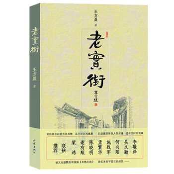 老实街（第七届鲁迅文学奖提名章节）