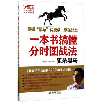 一本书搞懂分时图战法