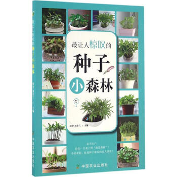 最让人惊叹的种子小森林