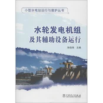 水轮发电机组及其辅助设备运行