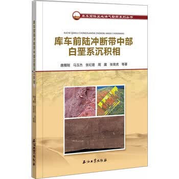 库车前陆冲断带中部白垩系沉积相