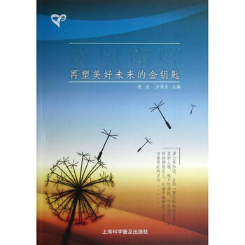 重现霓虹:再塑美好未来的金钥匙
