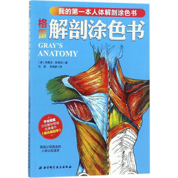 格雷解剖涂色书