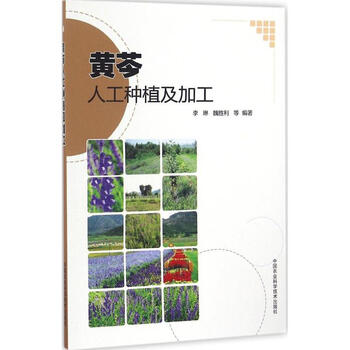 黄岑人工种植及加工