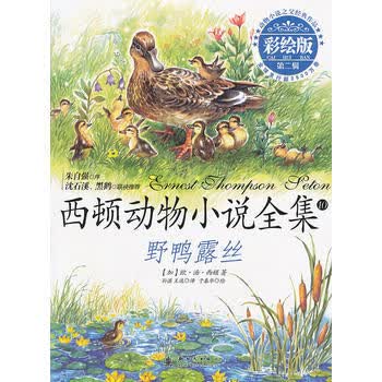 野鸭露丝(彩绘版)