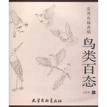 实用白描画稿：鸟类百态