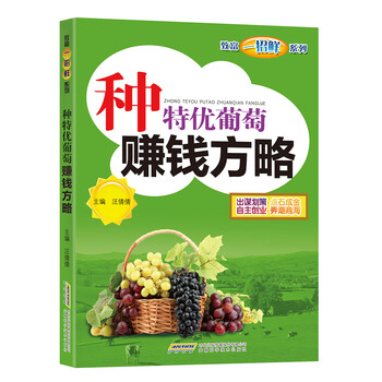 种特优葡萄赚钱方略