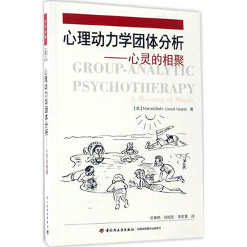 心理动力学团体分析