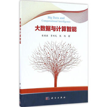 大数据与计算智能
