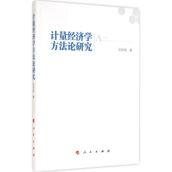计量经济学方法论研究