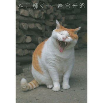 现货！岩合光昭 2015年猫咪写真 ねこ輝く　ニッポンの猫写真集