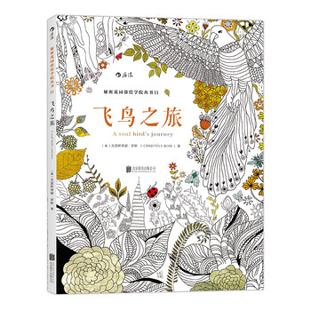 秘密花园涂绘学院丛书：飞鸟之旅