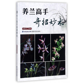 养兰高手奇招妙术