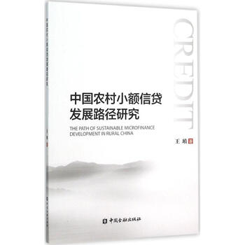 中国农村小额信贷发展路径研究