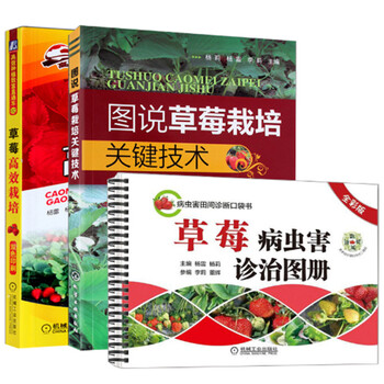 包邮 草莓栽培+草莓病虫害诊治图册+图说草莓栽培关键技术 3册 有机草莓无土栽培技术书