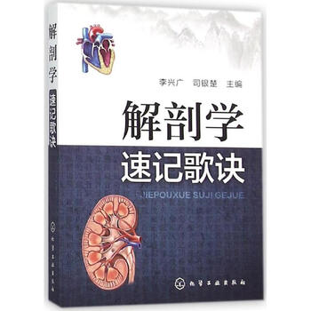 解剖学速记歌诀