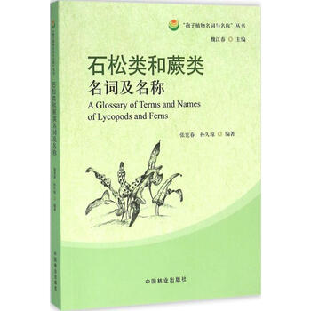 石松类和蕨类名词及名称