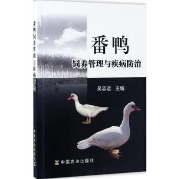番鸭饲养管理与疾病防治